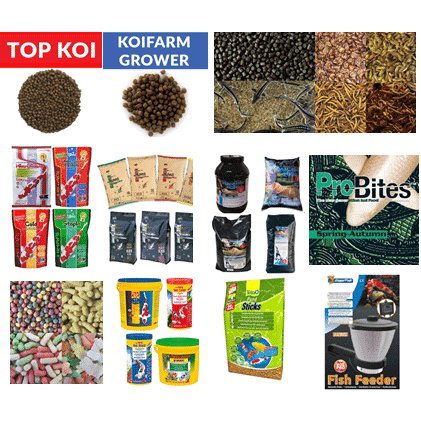 Koivoer, steurvoer en ander visvoer | Nummer 1 in voer voor koi
